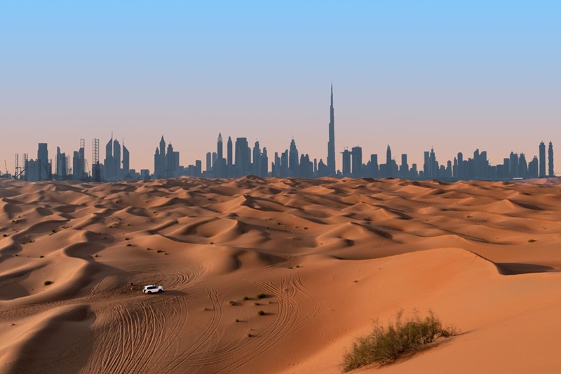 How Ostrich Farming Helps Combat Desertification in UAE - Afostrich